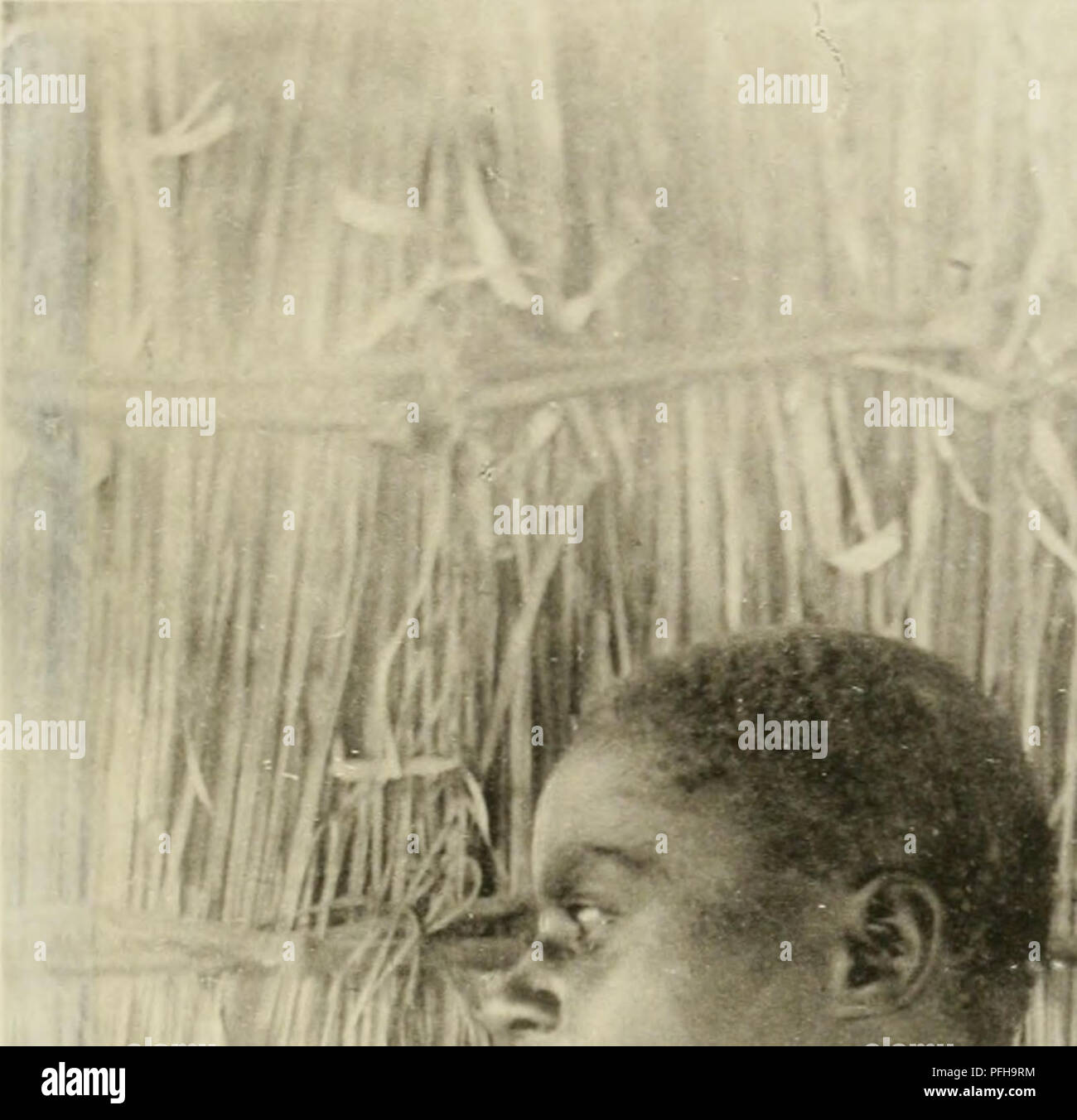 This travelogue details the author's journey through Central Africa ...