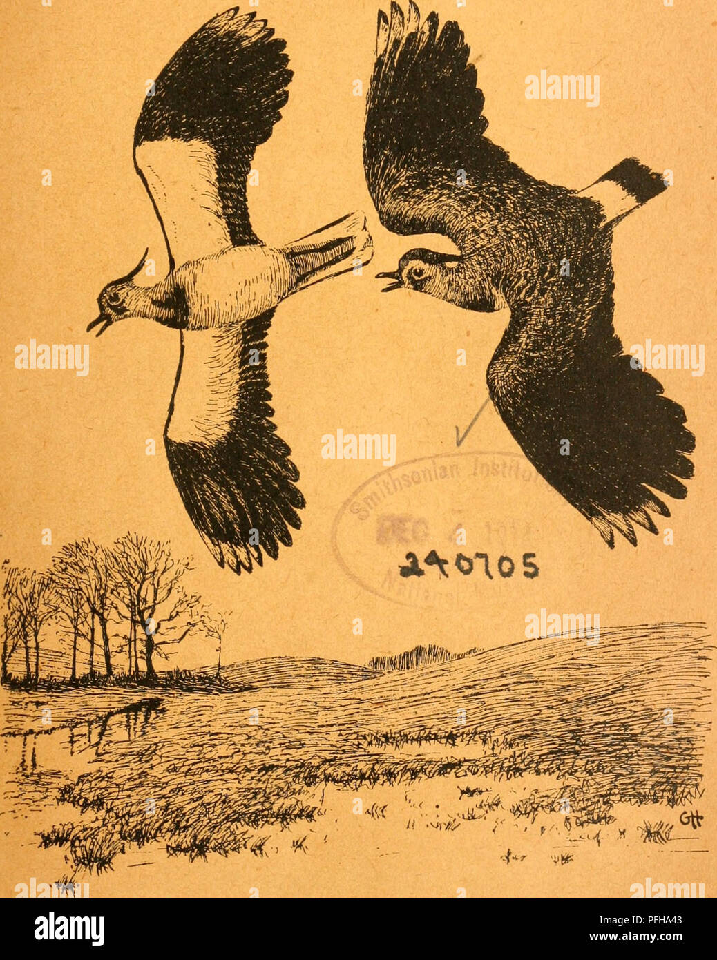 A Danish ornithological journal covering studies on bird species ...