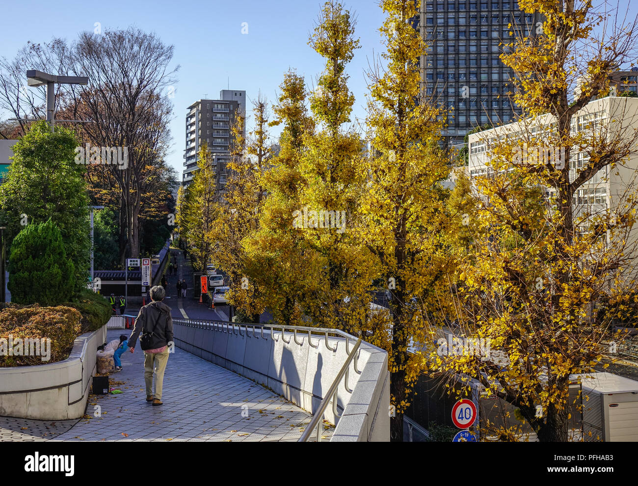 Tokyo, Japan - Dec 6, 2016. Cityscape of Tokyo, Japan. Tokyo Metropolis ...