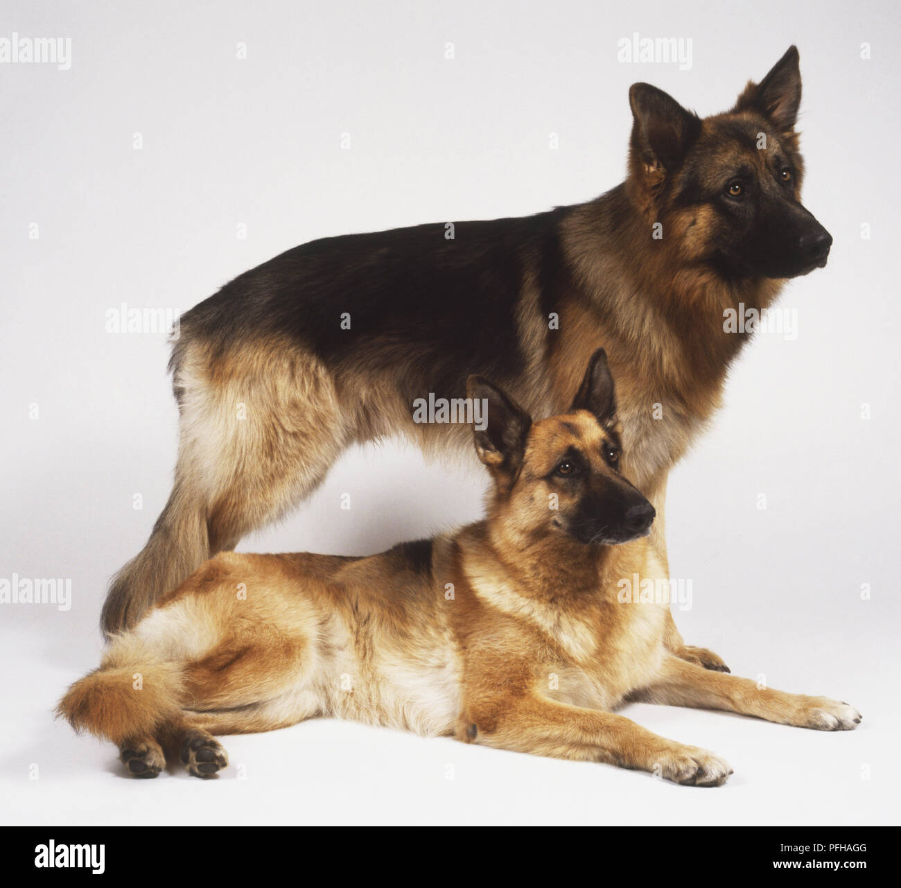 Facing sideways hi-res stock photography and images - Alamy