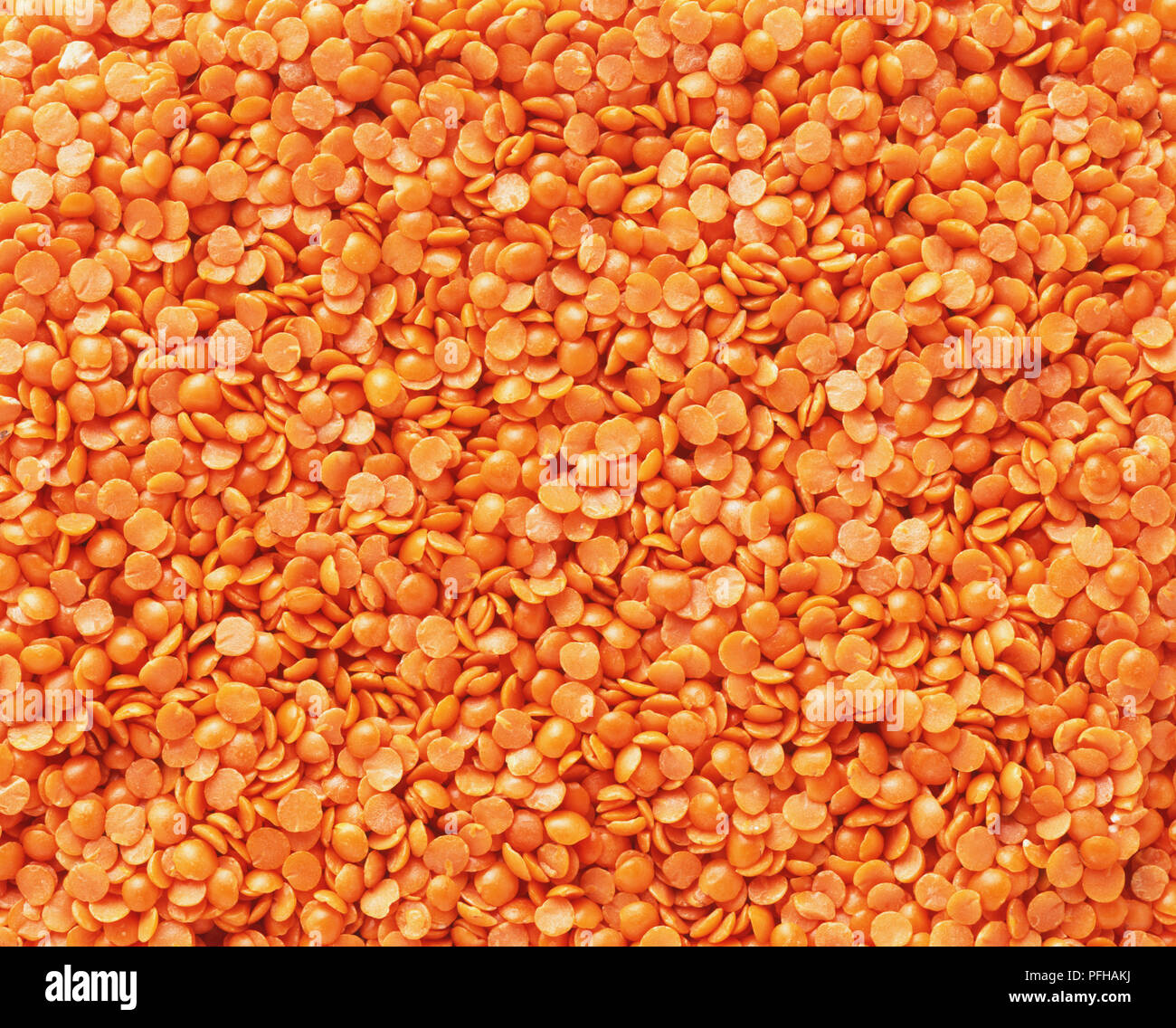 Lens culinaris, red split Lentils Stock Photo - Alamy