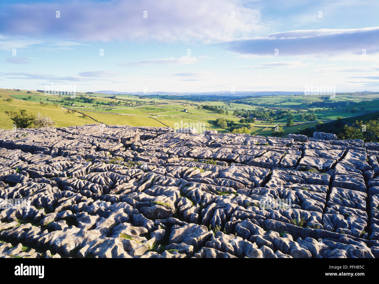 Great Britain, England, Yorkshire, a fine limestone pavement, called ...