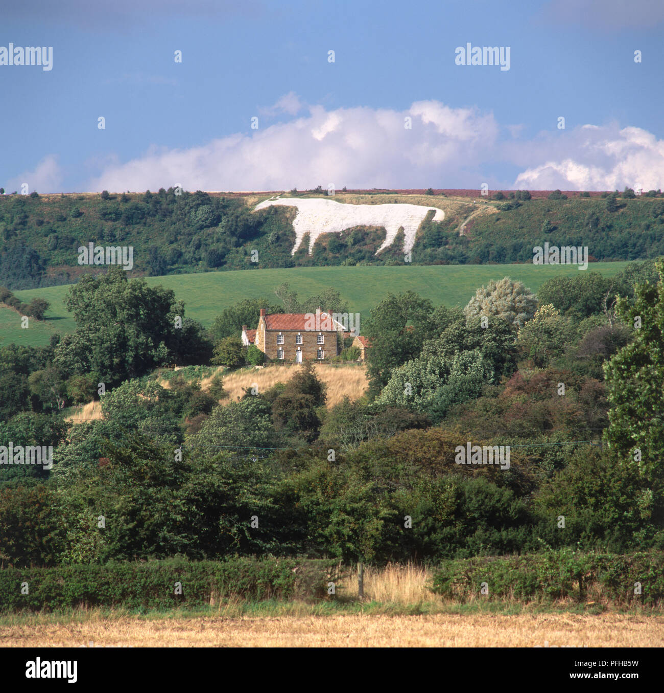 White horse sutton bank hi-res stock photography and images - Alamy