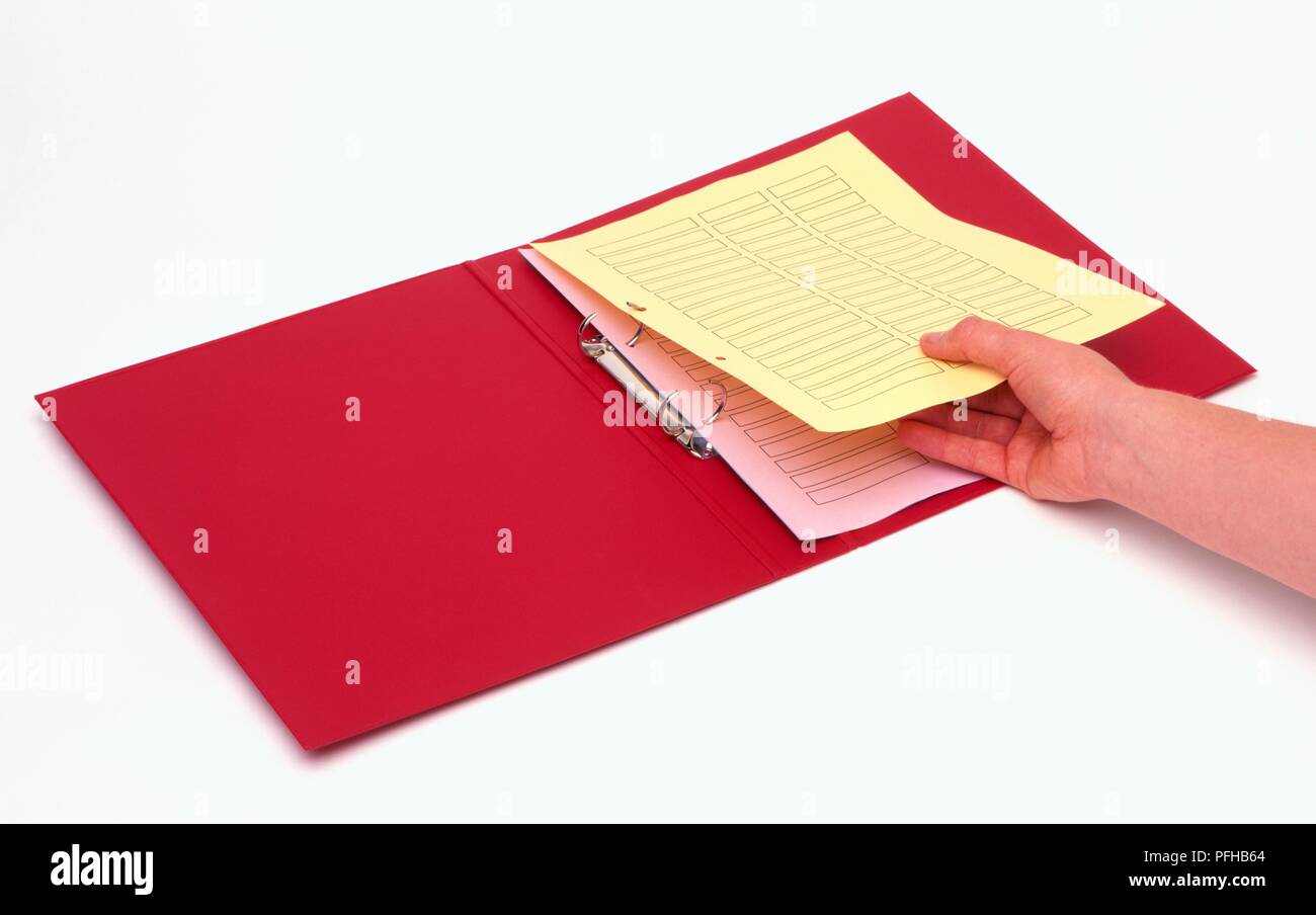 Hand holding document over ring binder, close-up Stock Photo - Alamy