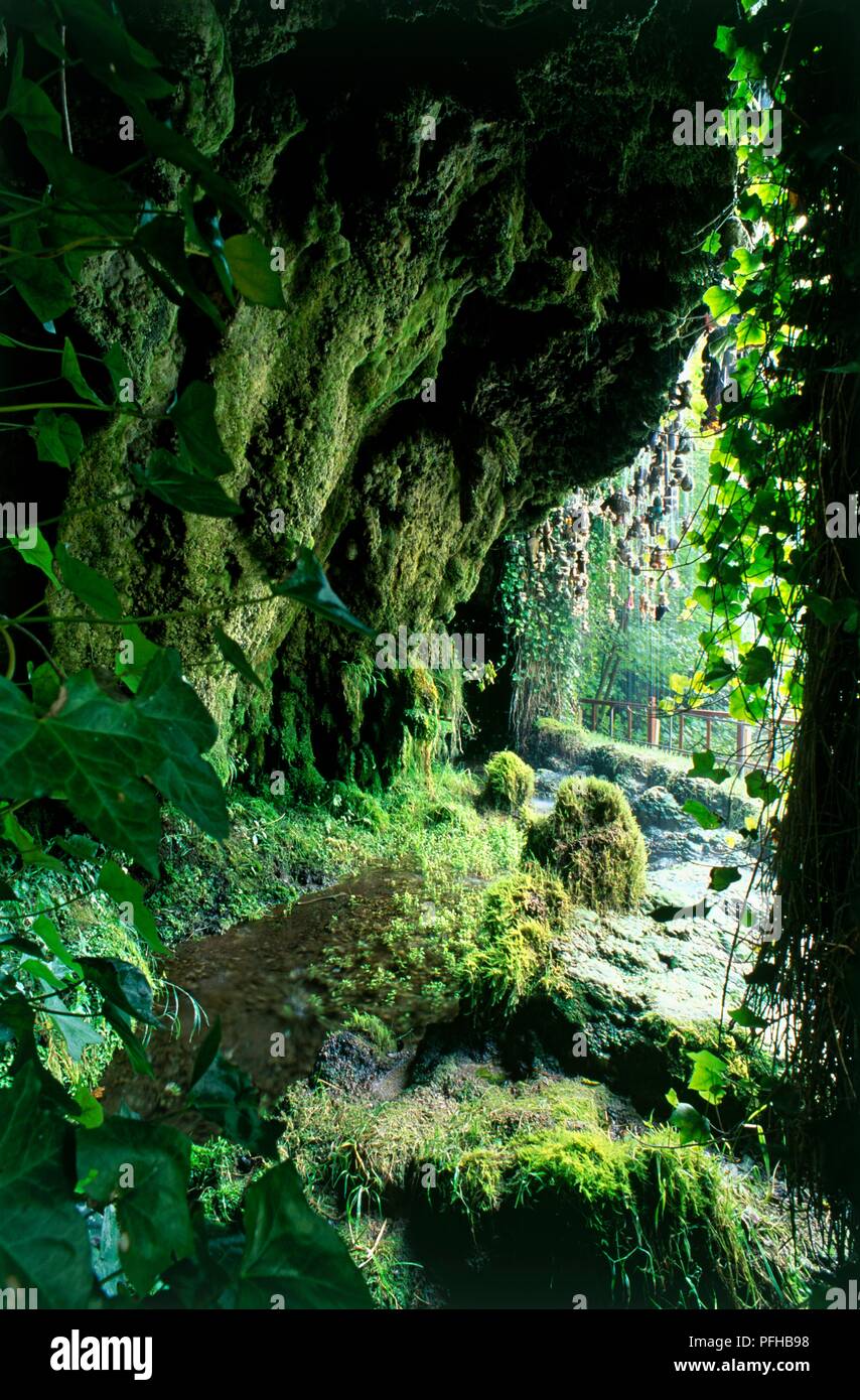 Ivy cave hi-res stock photography and images - Alamy