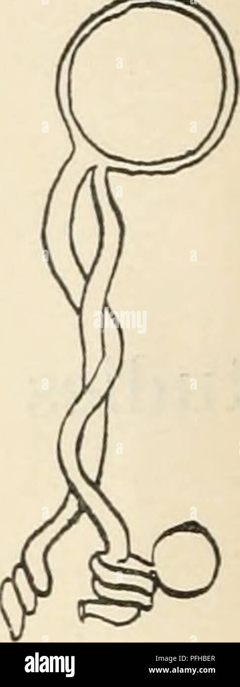 This archive contains detailed records of plants from Denmark, focusing ...