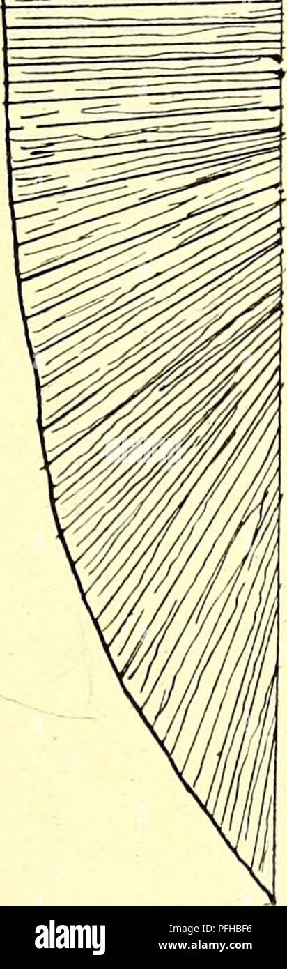 This geological illustration from Denmark's Geological Survey examines ...