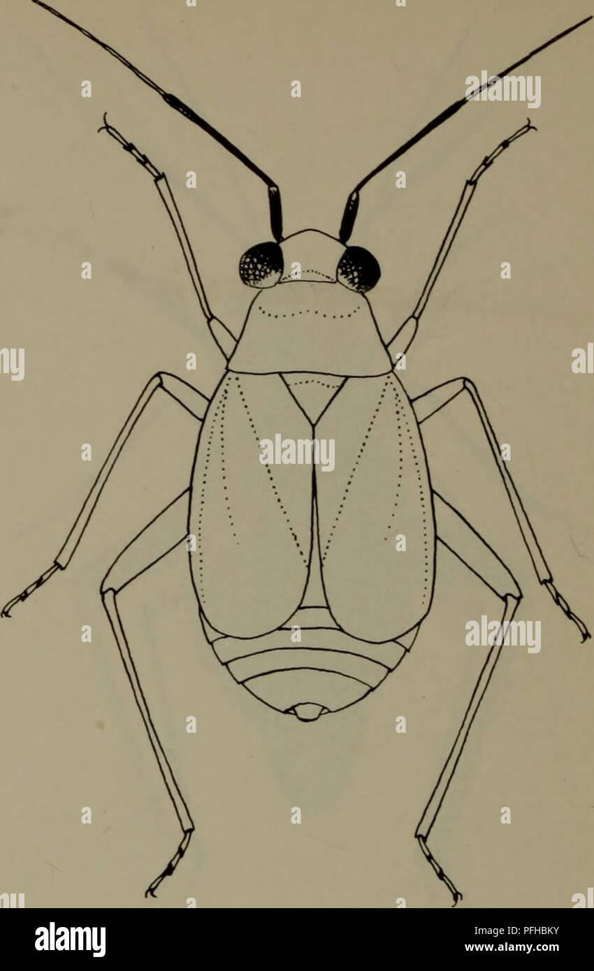 This work presents an illustrated guide to the fauna of Denmark ...