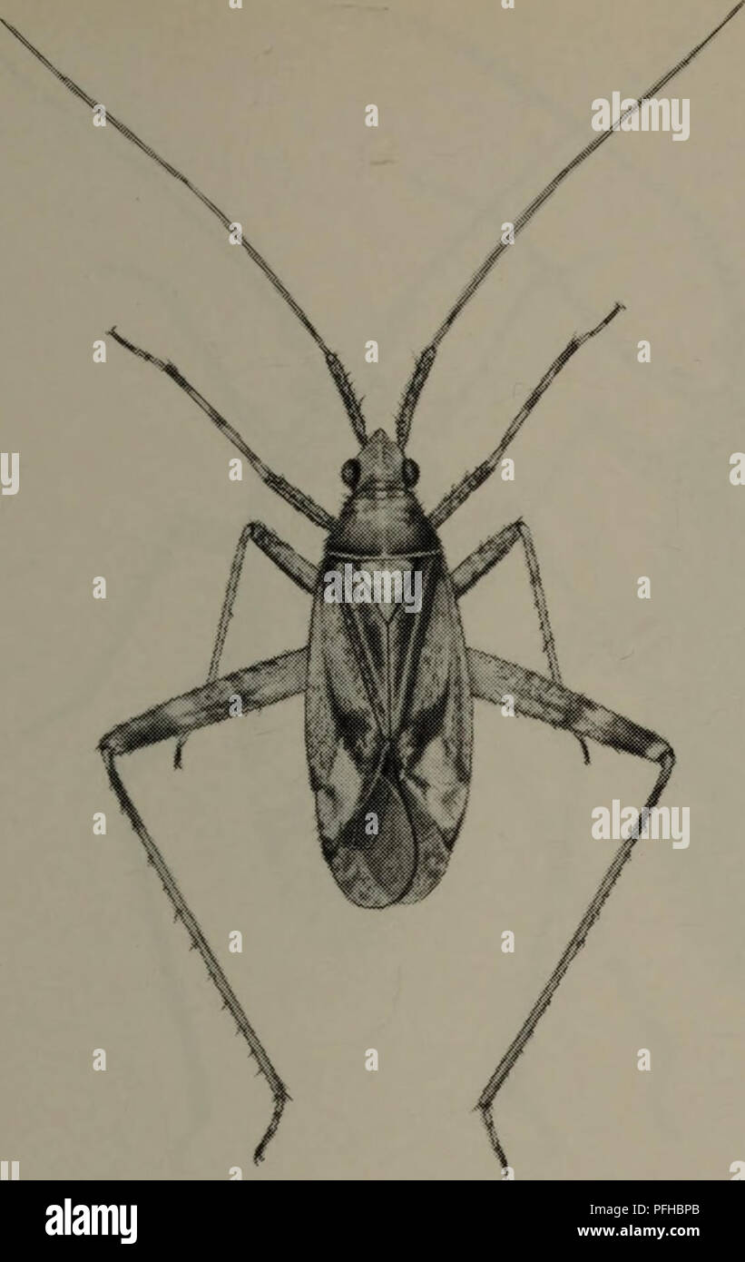 This illustrated guide provides a comprehensive overview of Denmark's ...