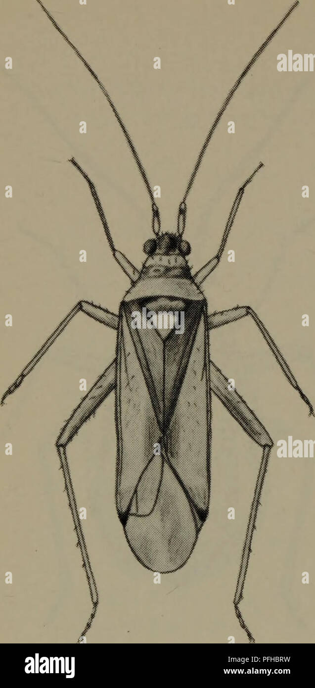 This illustrated handbook provides a comprehensive overview of Danish ...