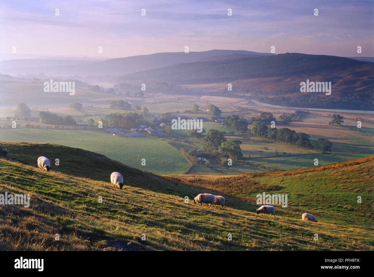 Great Britain, England, Northumberland, an area of Northumberland ...
