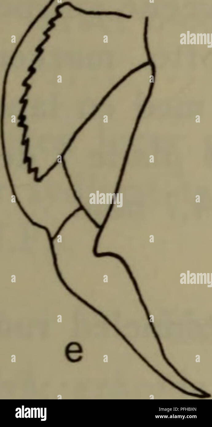 This illustrated handbook covers the fauna of Denmark, describing the ...