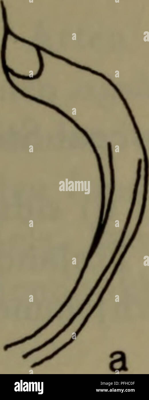 This illustrated handbook provides an overview of Denmark's fauna ...