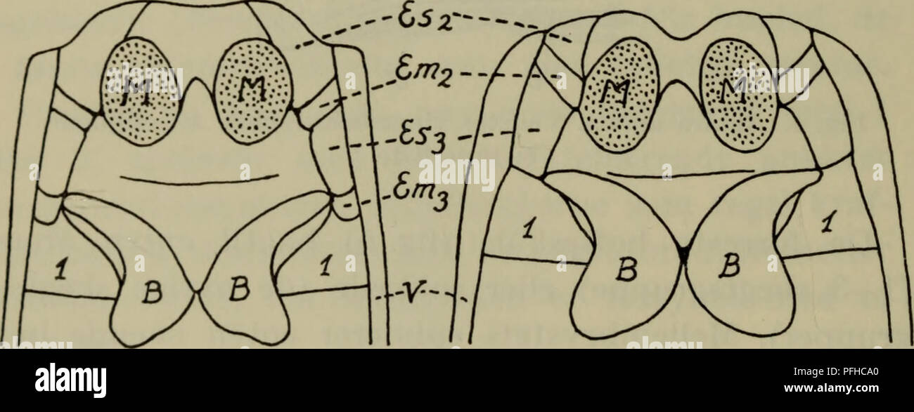 This illustrated handbook provides a comprehensive overview of the ...