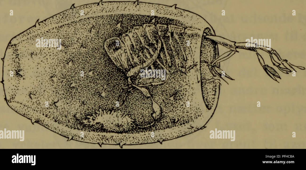 This work provides a detailed account of Denmark's fauna, with ...