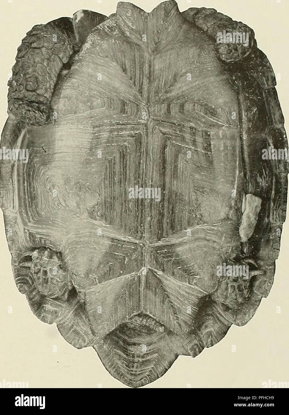 This scientific journal, published by the Medical-Natural Science ...