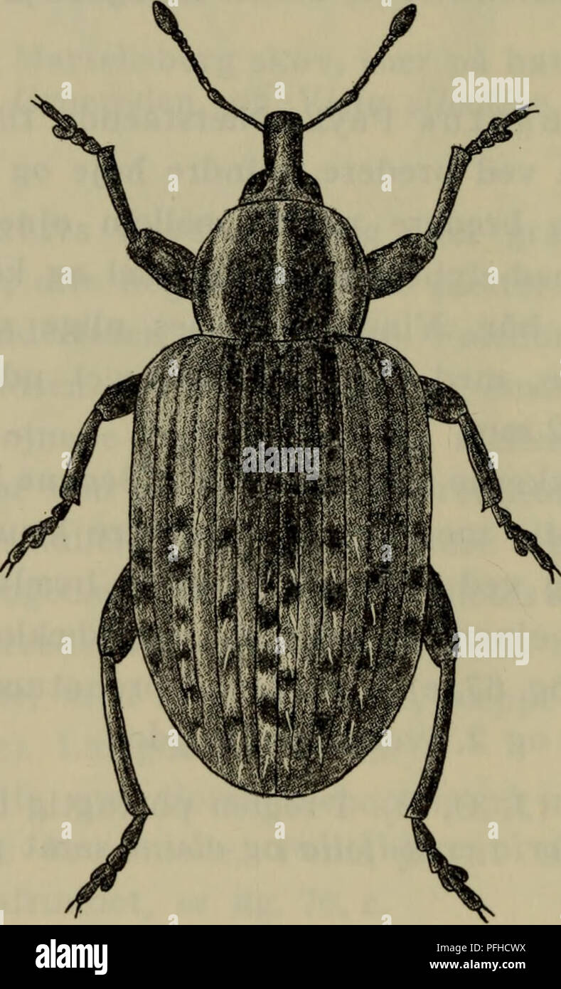 This illustrated guide to the fauna of Denmark provides an overview of ...