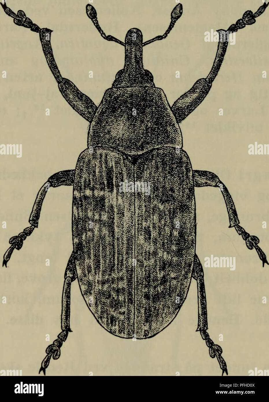 This illustrated handbook provides detailed descriptions of the animal ...