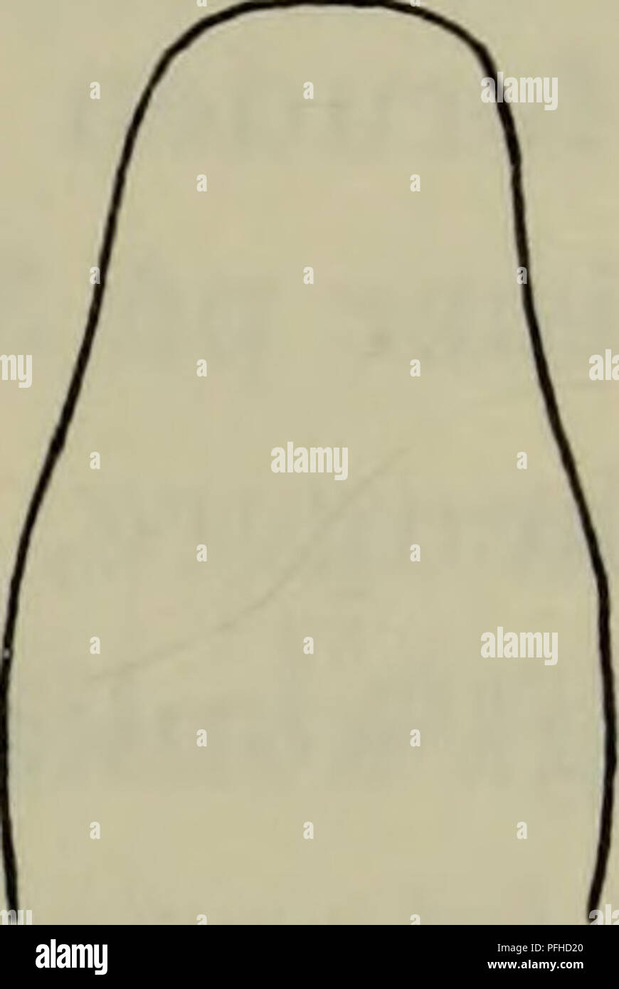 This illustrated handbook of Danish fauna provides a comprehensive ...