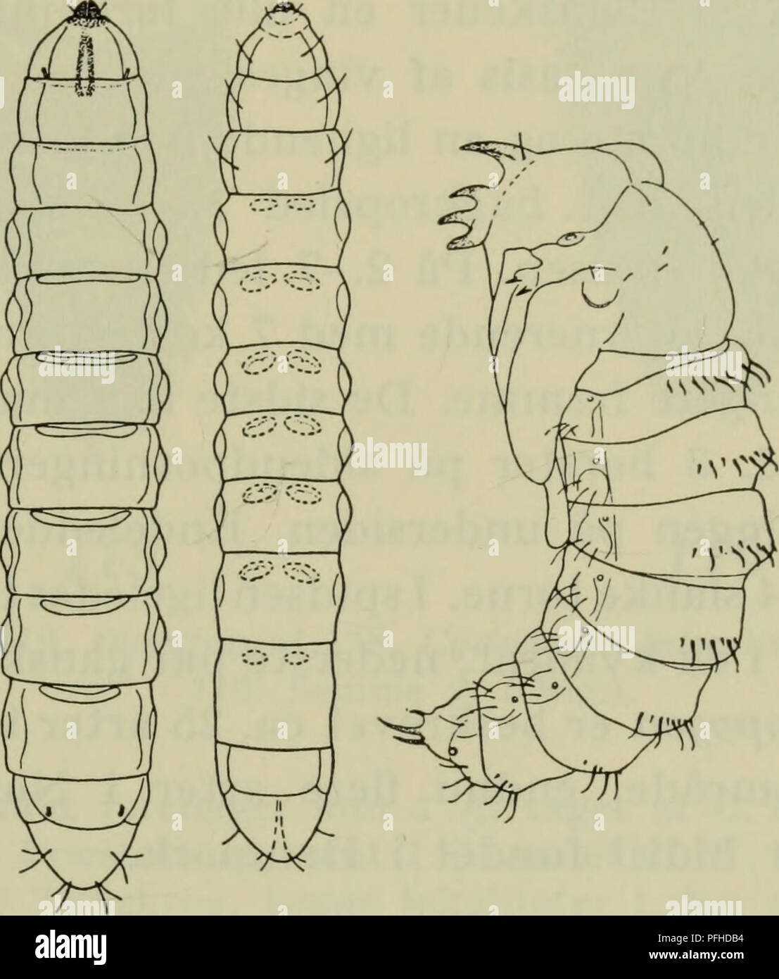 Roddelen hi-res stock photography and images - Alamy