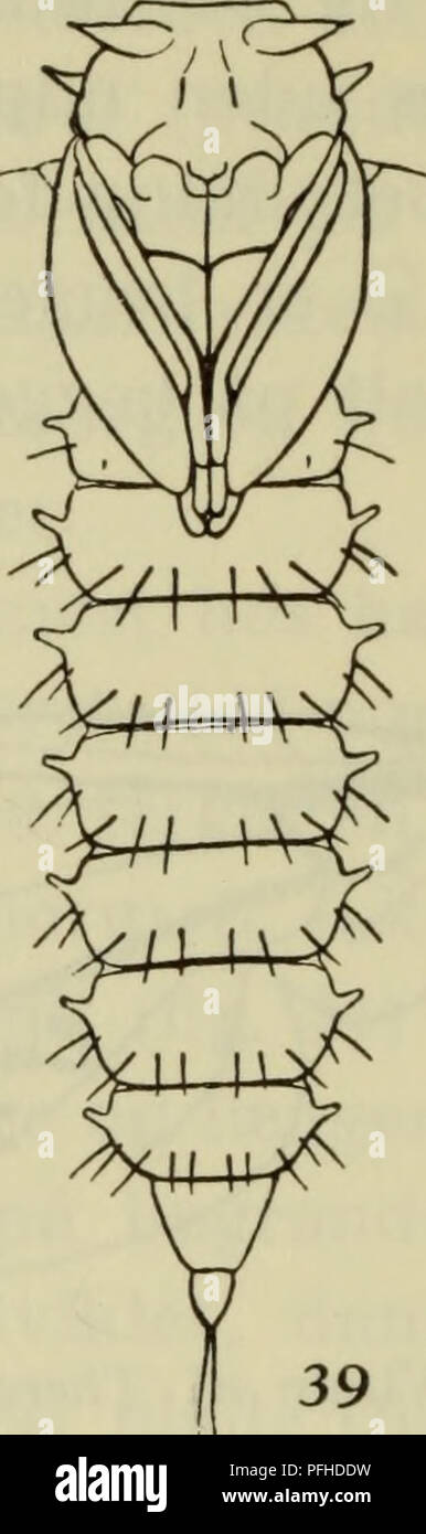 This illustrated guide explores various stages of development in the ...