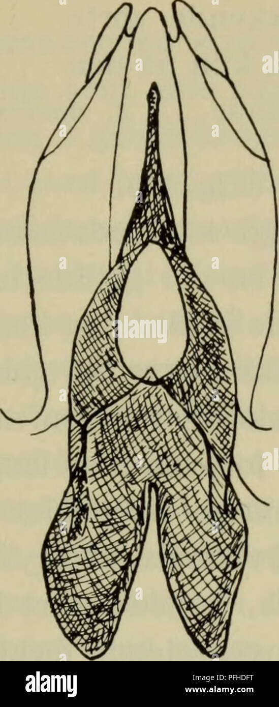 This illustrated handbook provides a comprehensive overview of the ...