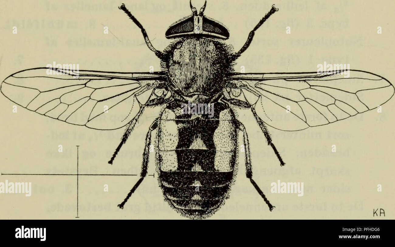 This volume provides a detailed examination of Denmark's insect fauna ...