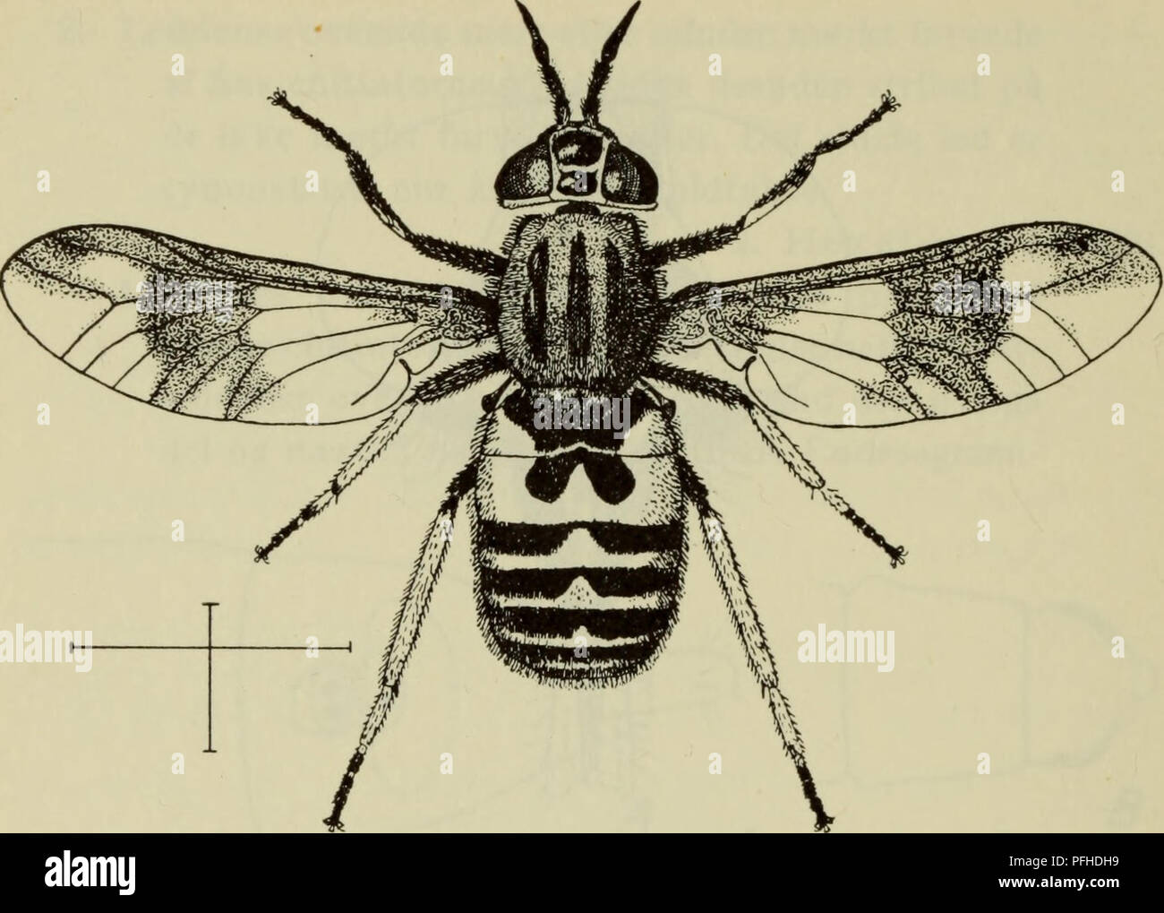Variations in body patterns hi-res stock photography and images - Alamy
