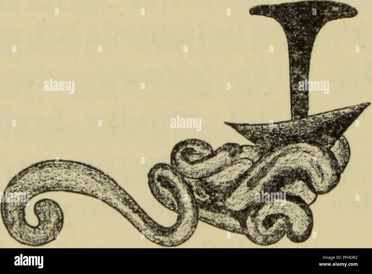 This illustrated guide to Danish fauna includes detailed descriptions ...