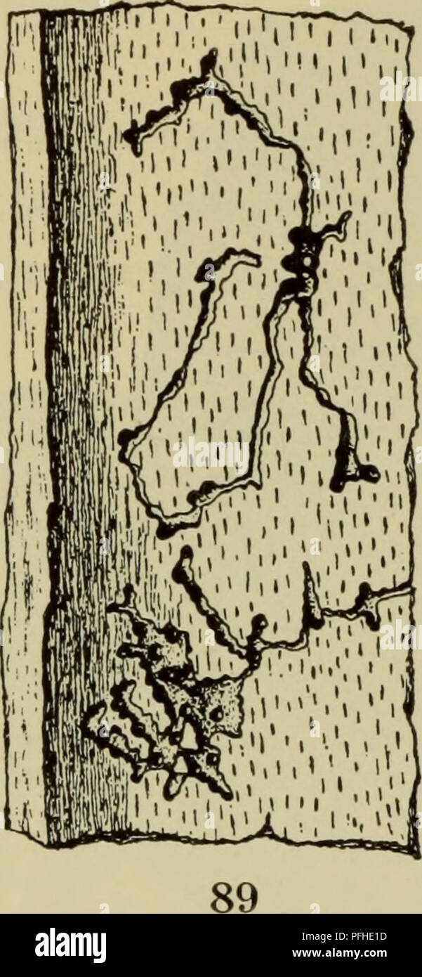 This Danish illustrated handbook provides an overview of Denmark's ...