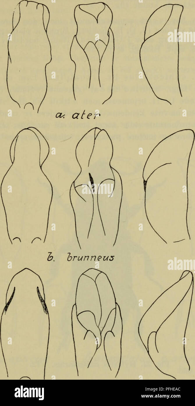 This illustrated handbook covers the fauna of Denmark, providing ...