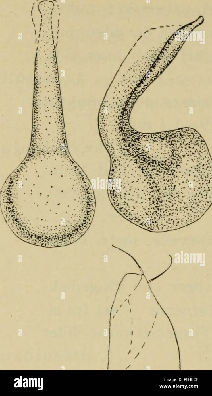 This illustrated handbook of Danish fauna provides detailed ...