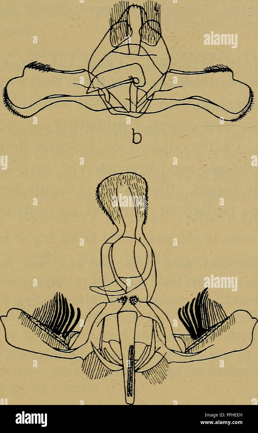This Danish illustrated guide focuses on the fauna of Denmark ...