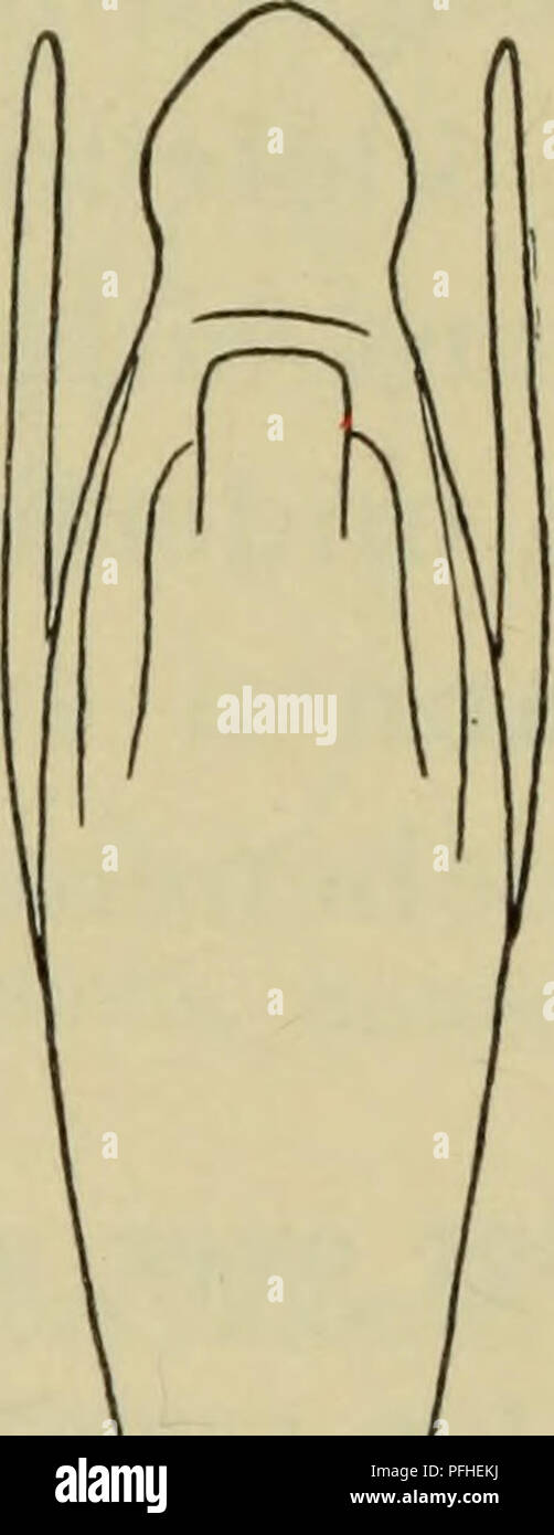 This illustrated guide provides a comprehensive overview of Denmark's ...