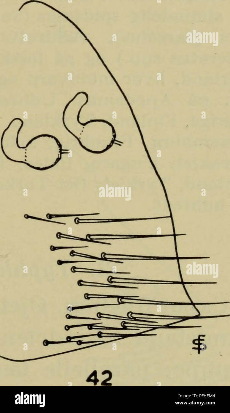 This illustrated guide provides a detailed overview of Denmark's fauna ...