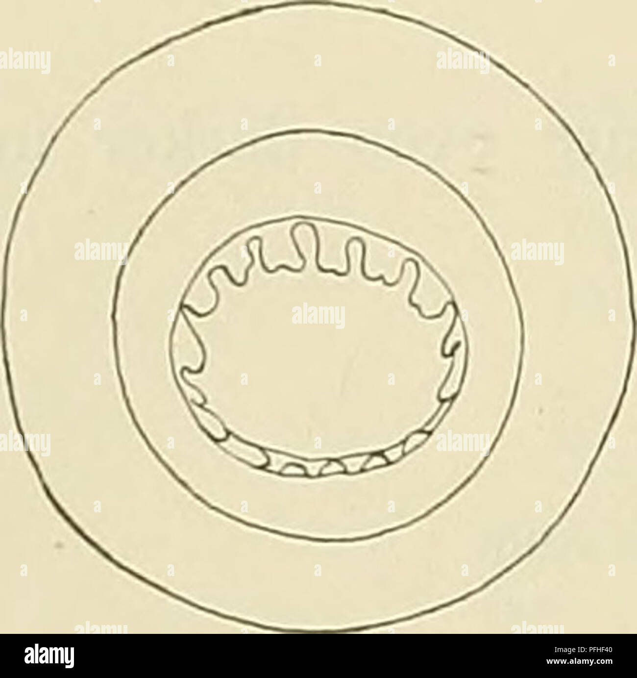 Sigmoid curve hi-res stock photography and images - Alamy