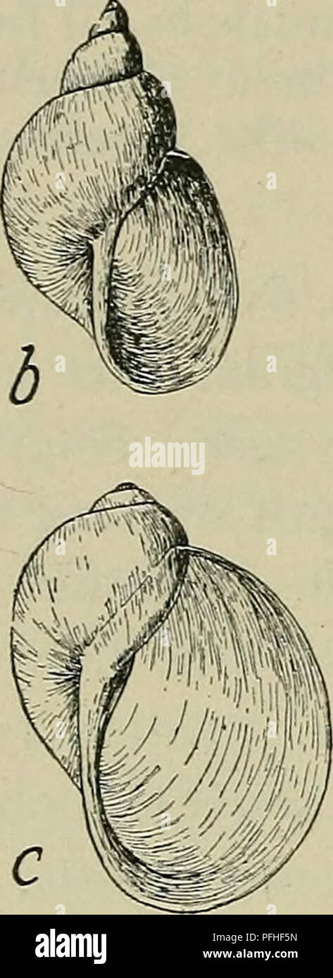 Minde over hi-res stock photography and images - Alamy