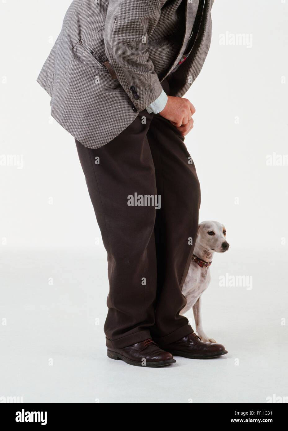 Dog behind legs hi-res stock photography and images - Alamy