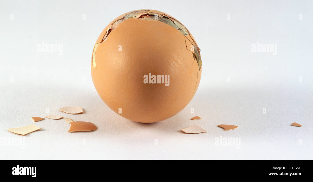 Breaking the shell hi-res stock photography and images - Alamy