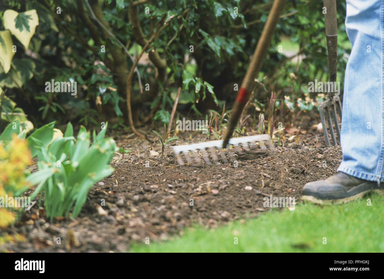Garden soil being raked, side view Stock Photo - Alamy