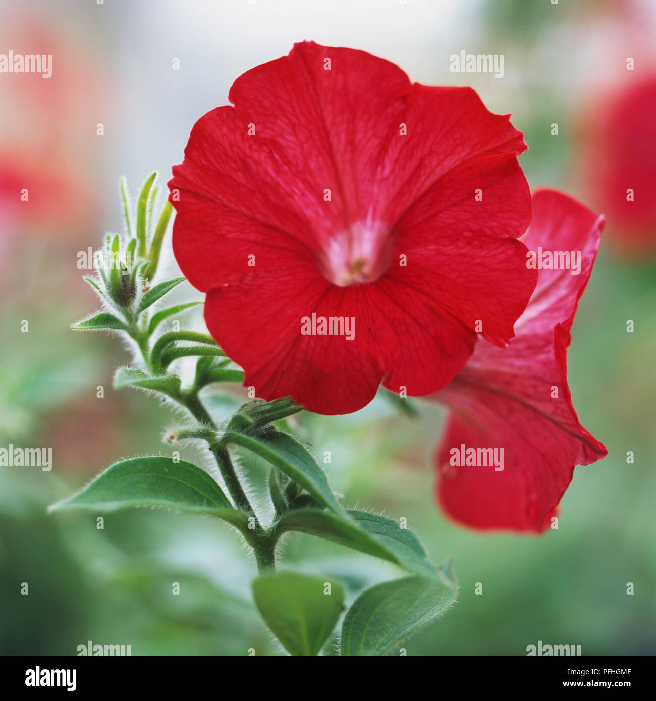 Million series hi-res stock photography and images - Alamy