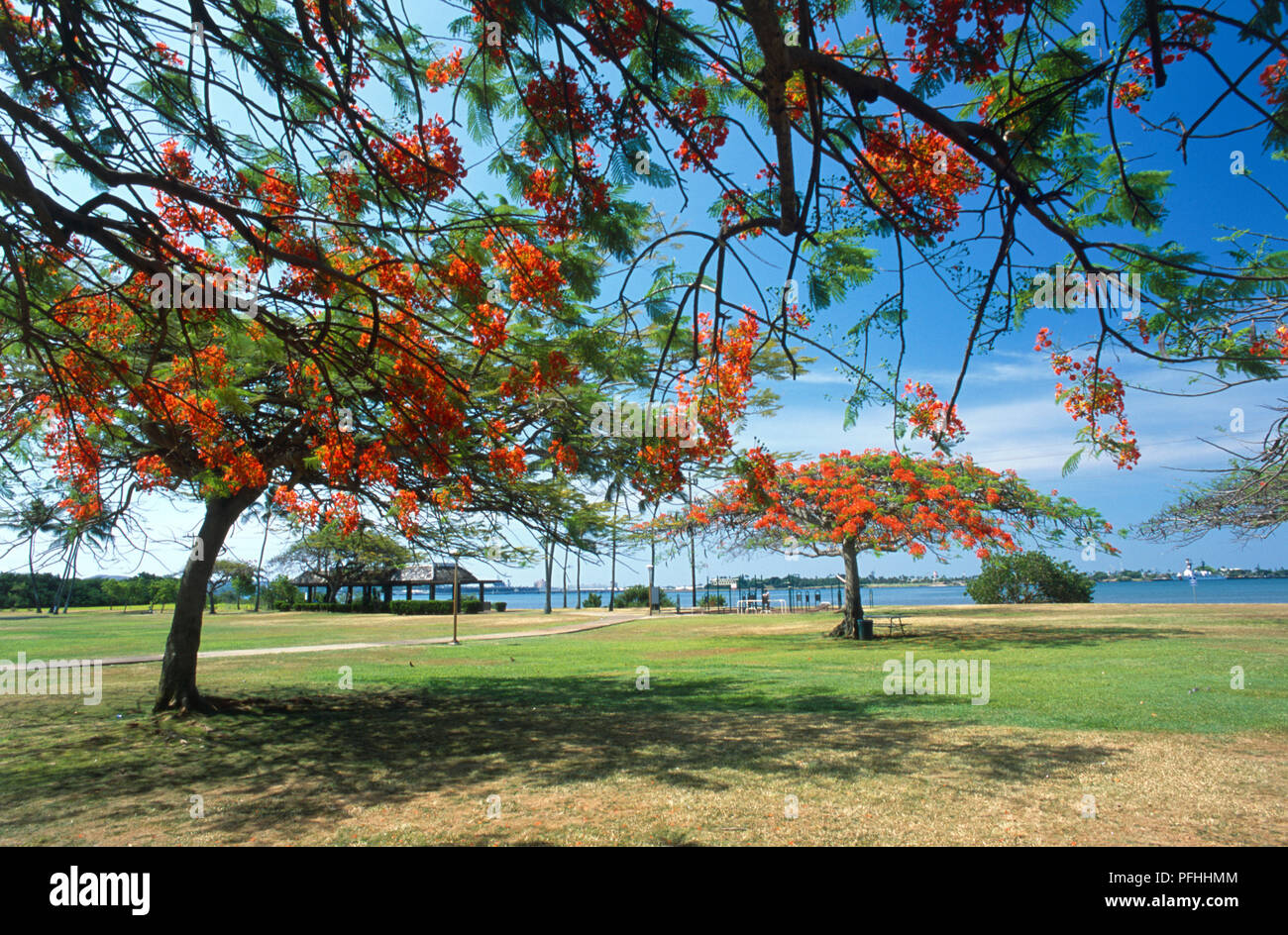 USA, Hawaii, O'ahu, Pearl City, Kamehameha Highway, Blaisdell Park ...