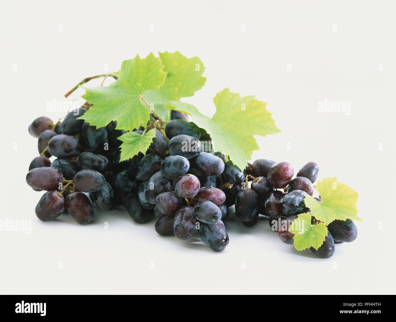 Bunch of purple grapes on stem with vine leaves, close up Stock Photo ...