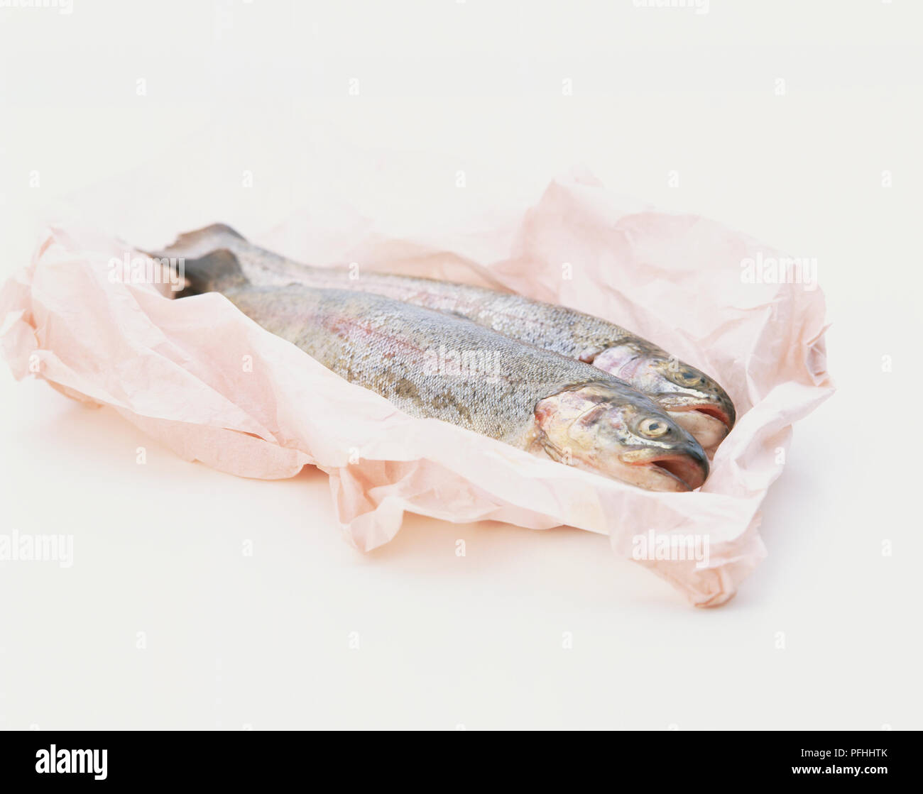 Two fish heads hi-res stock photography and images - Alamy