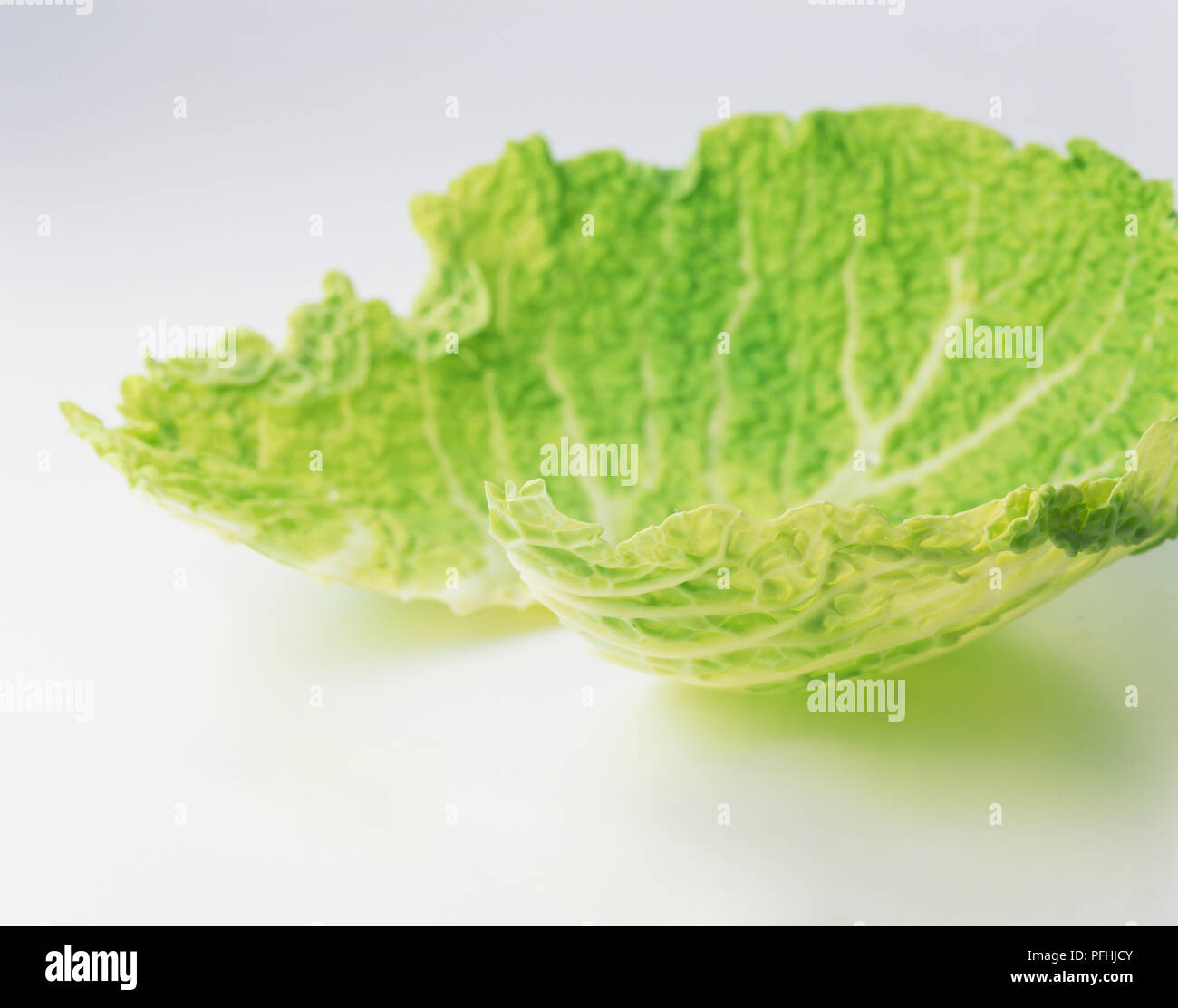 Crinkly cabbage hi-res stock photography and images - Alamy