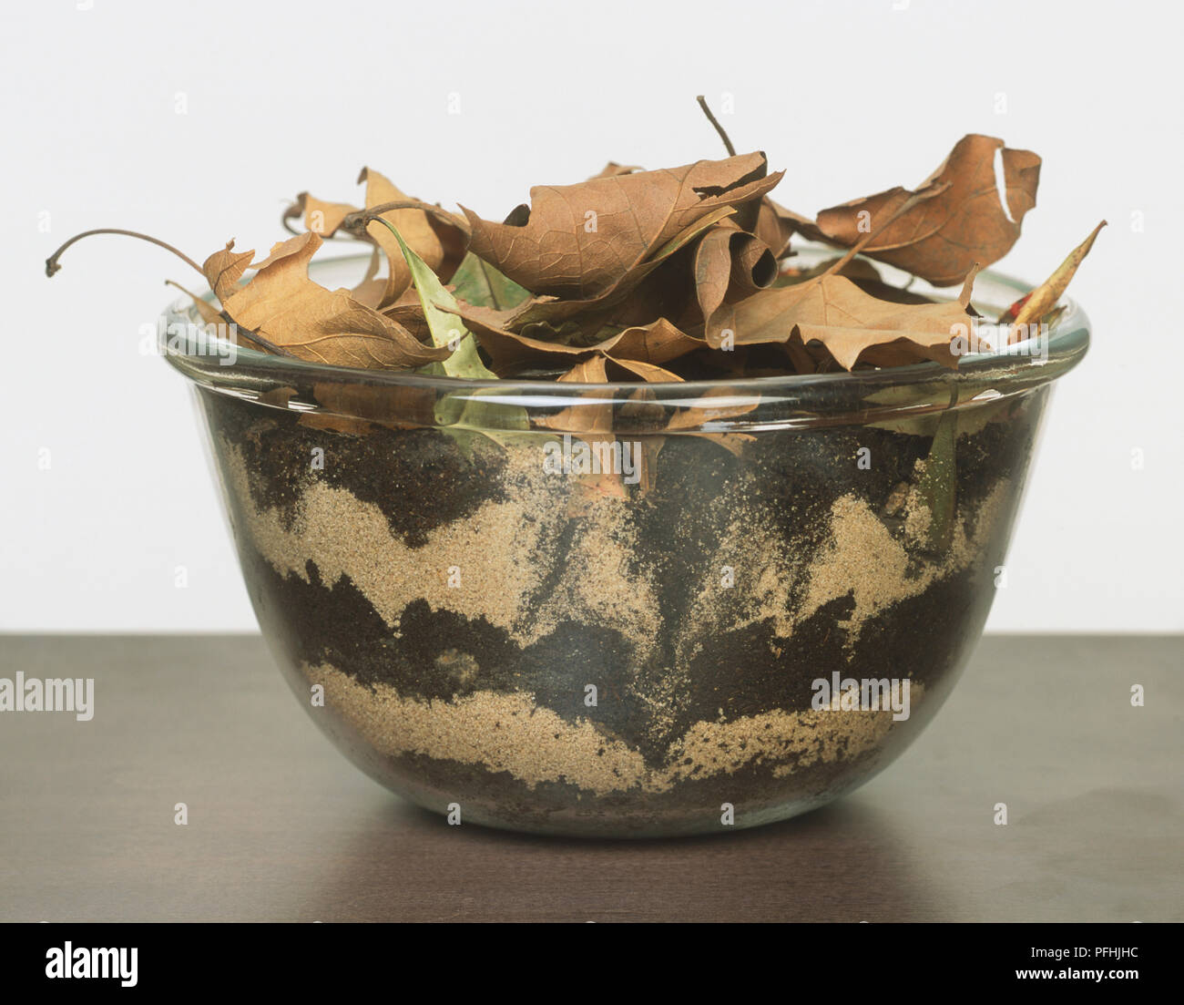 Worm farm glass hi-res stock photography and images - Alamy