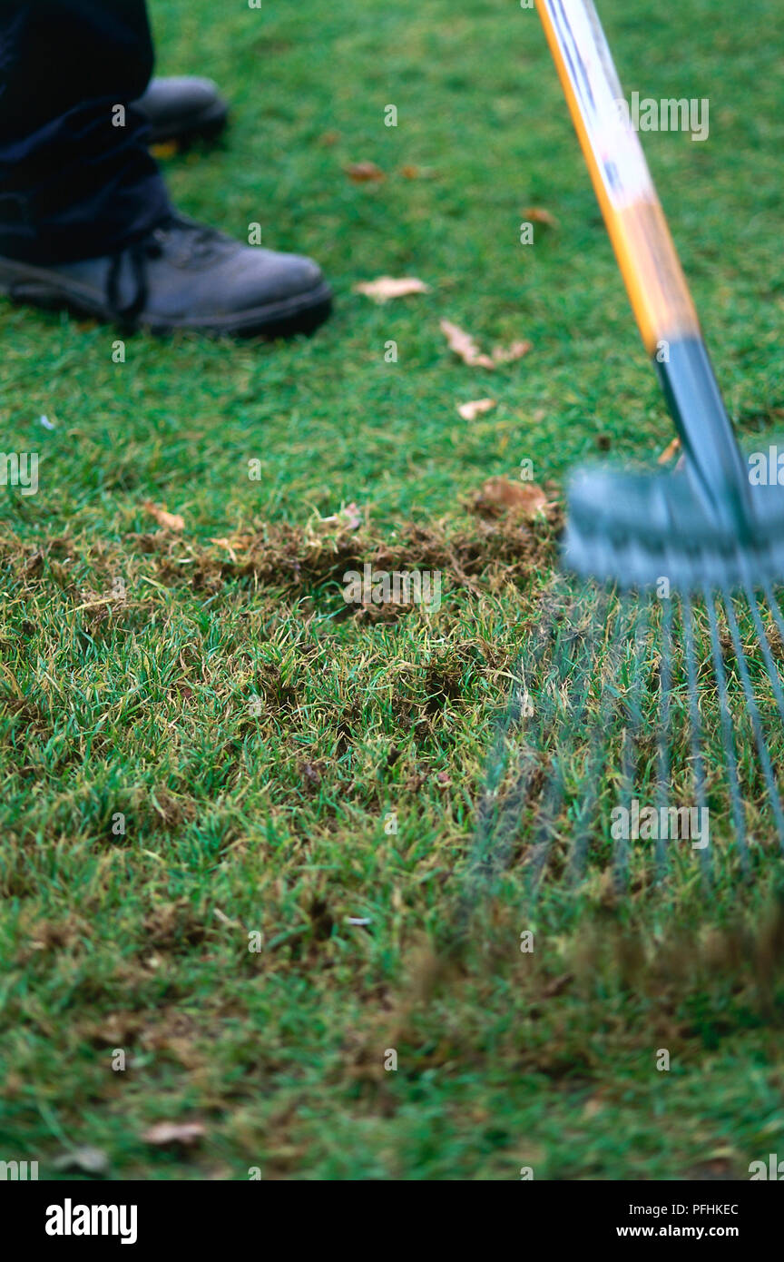 Lawn being raked, close up Stock Photo - Alamy