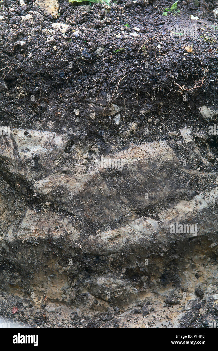 Types of soil hi-res stock photography and images - Alamy