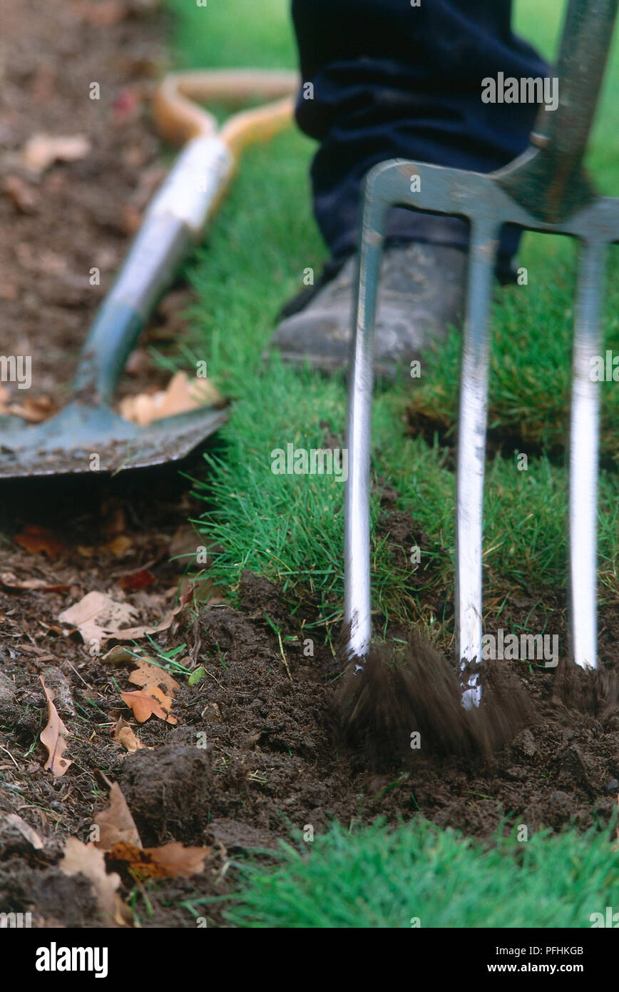 Forking A Lawn