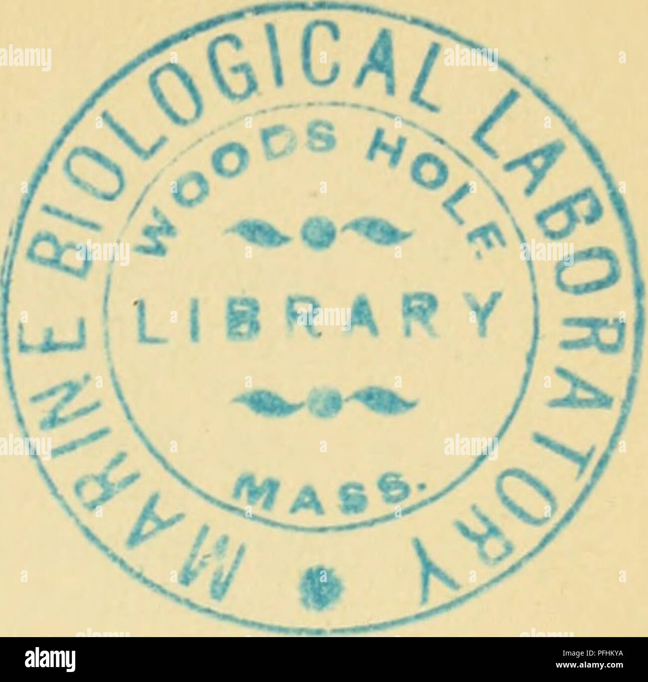 This entry discusses the suborder Malacopterygii, describing various ...